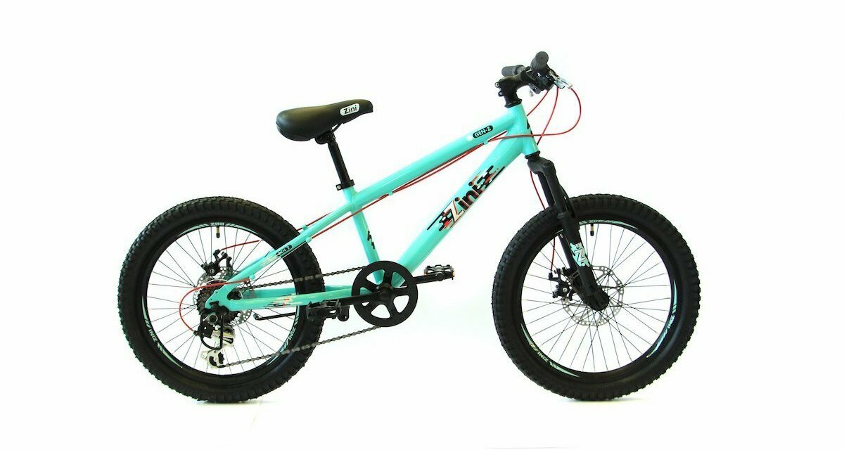 Celebrate freedom with these 20" and 29" mountain bikes from Zini ...