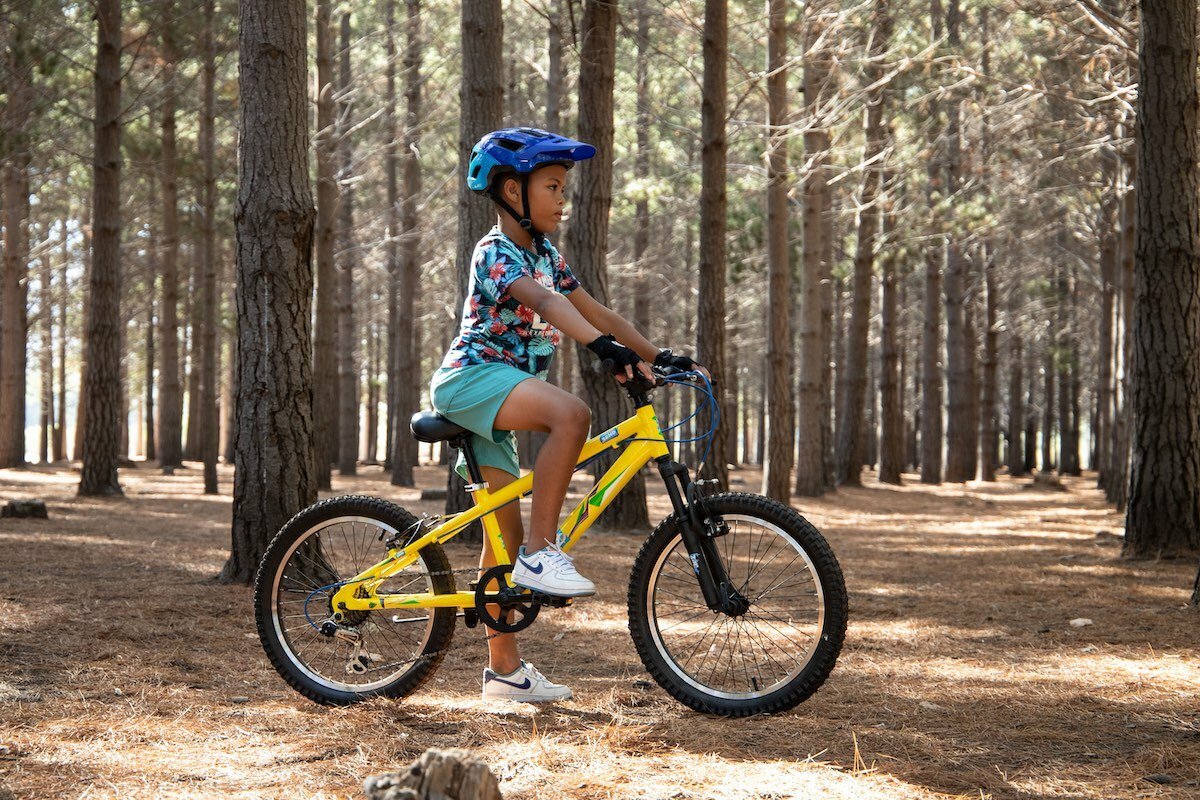 Celebrate freedom with these 20" and 29" mountain bikes from Zini ...