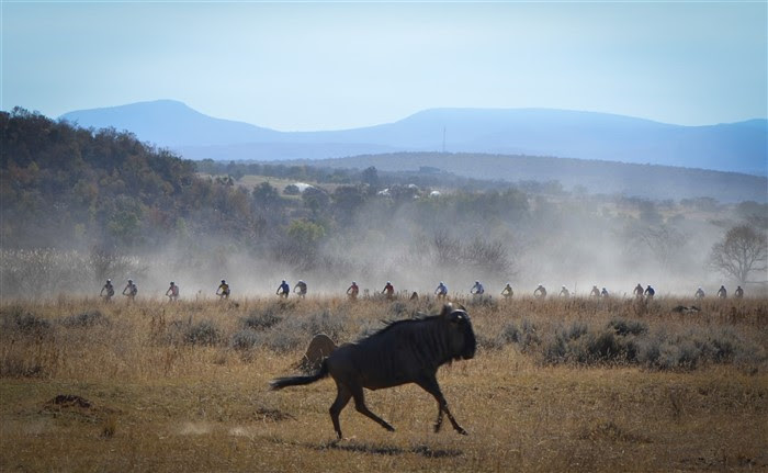 Momentum to back Tour of Legends mountain bike experience | Bike Hub