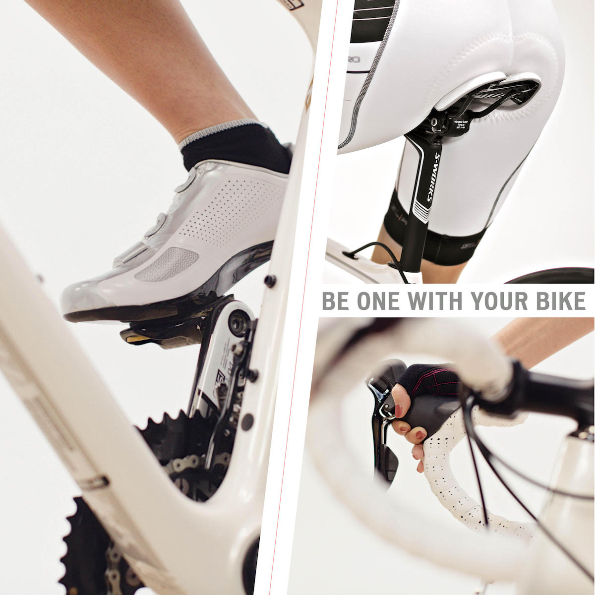 Specialized host Body Geometry Fit conference in Stellenbosch | Bike Hub