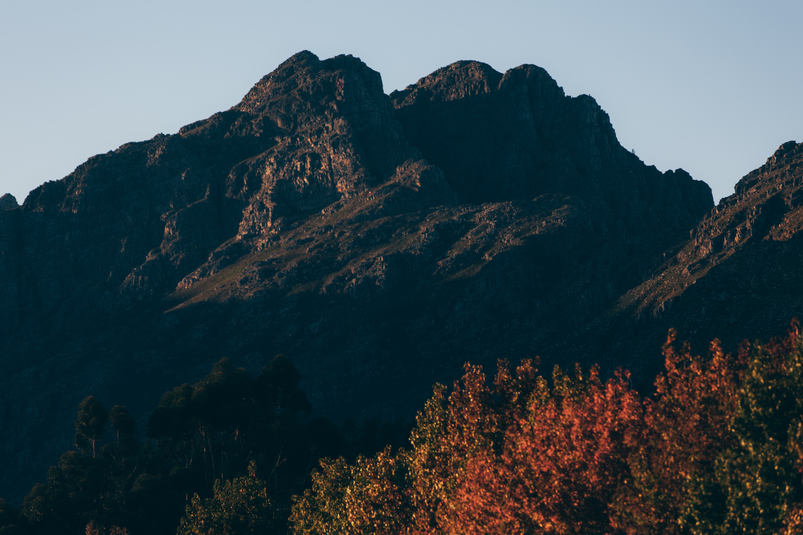 Trail Daze 2.0 | Banhoek Conservancy | Bike Hub
