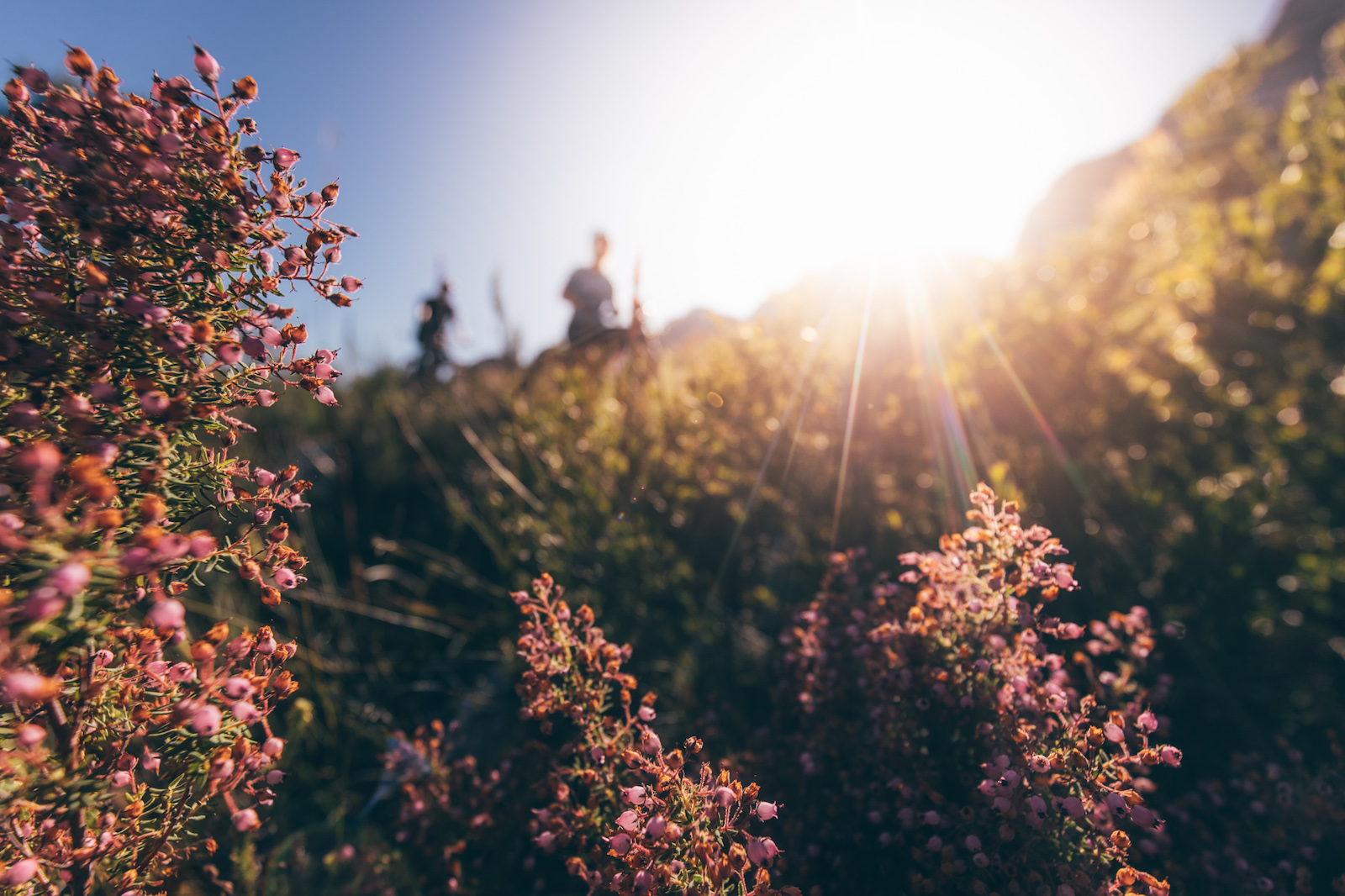 Trail Daze 2.0 | Banhoek Conservancy | Bike Hub