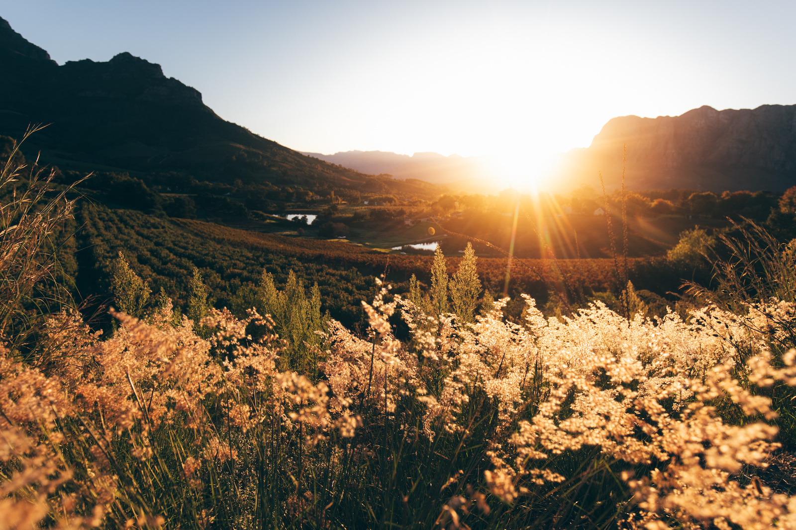 Trail Daze 2.0 | Banhoek Conservancy | Bike Hub