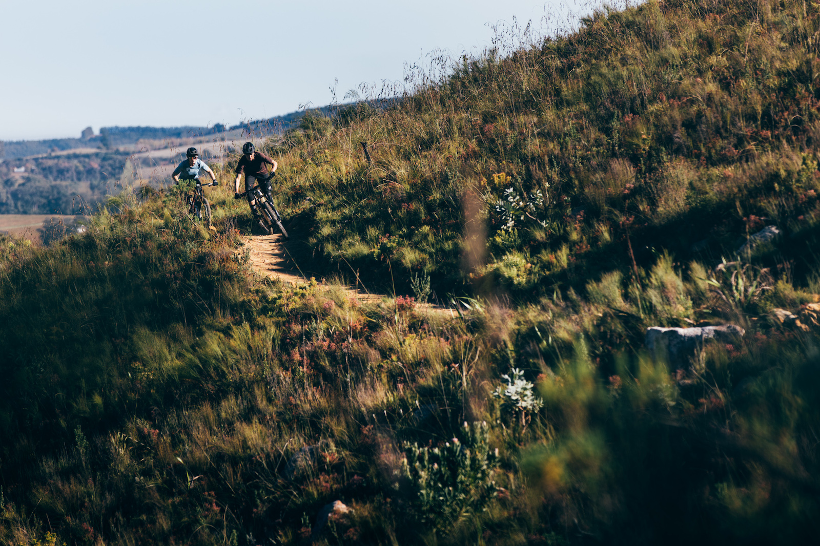 Trail Daze 2.0 | Banhoek Conservancy | Bike Hub