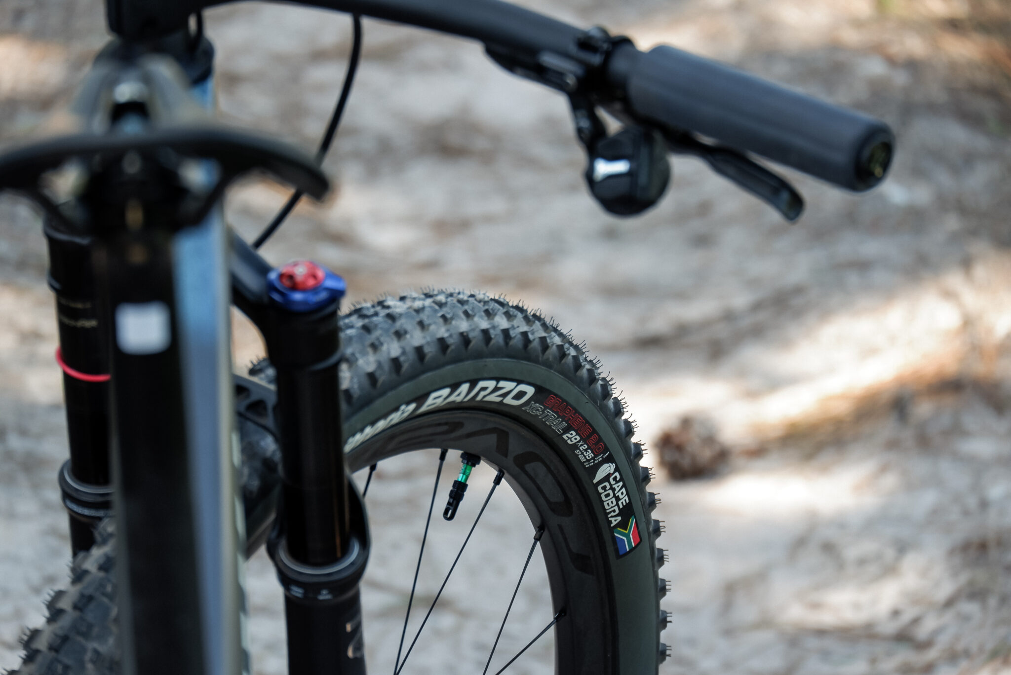 Introducing The All New Venom Compound Cape Cobra from Vittoria | Bike Hub