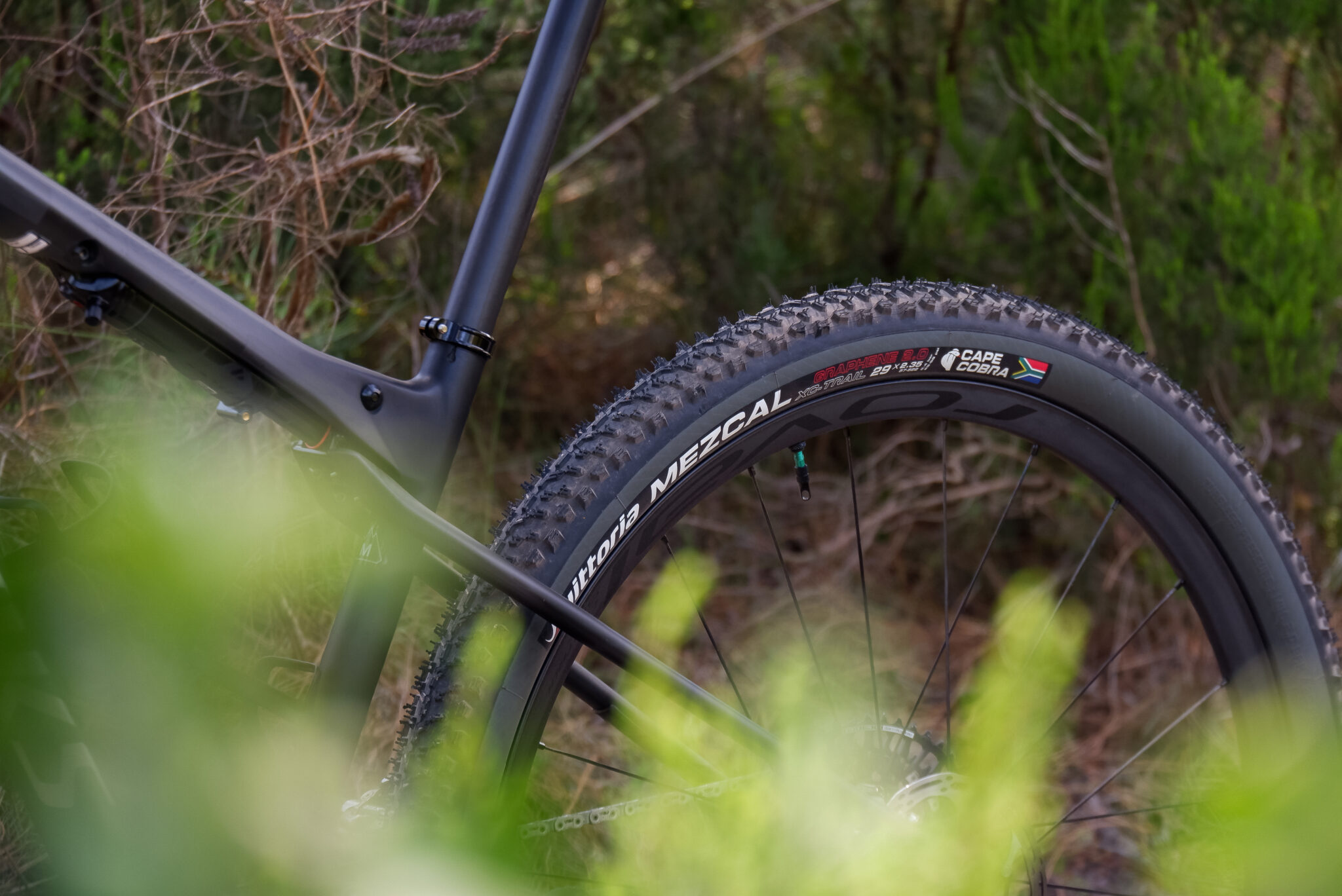 Introducing The All New Venom Compound Cape Cobra from Vittoria | Bike Hub