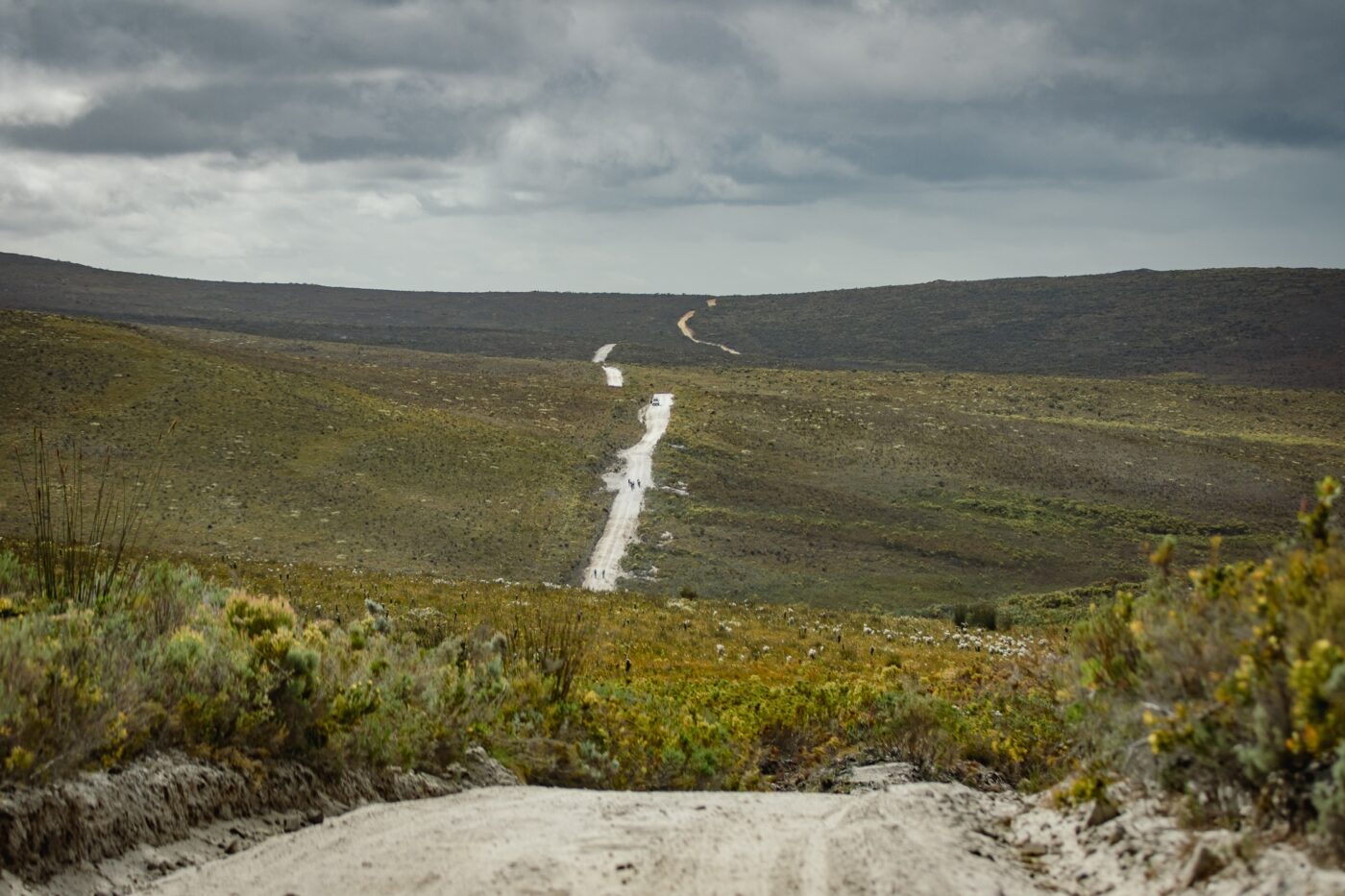 Tales from the Hunt at Stanford 100 Miler | Bike Hub