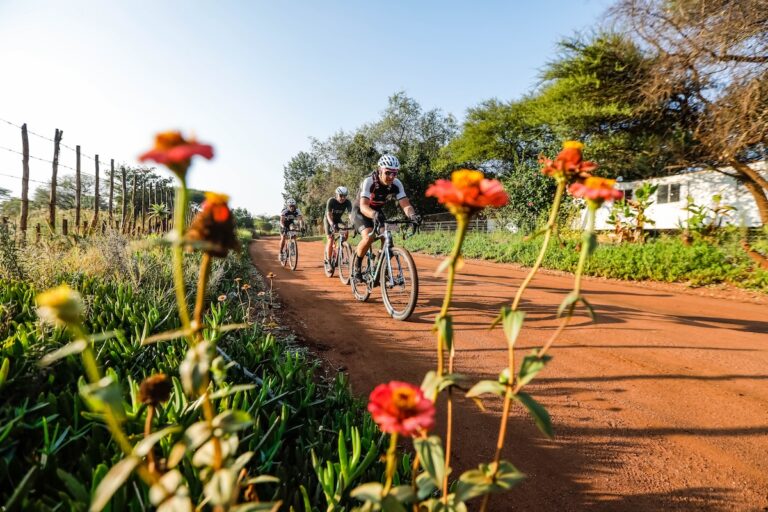 Embark on a 100-mile gravel journey with King Price Race to the Sun ...