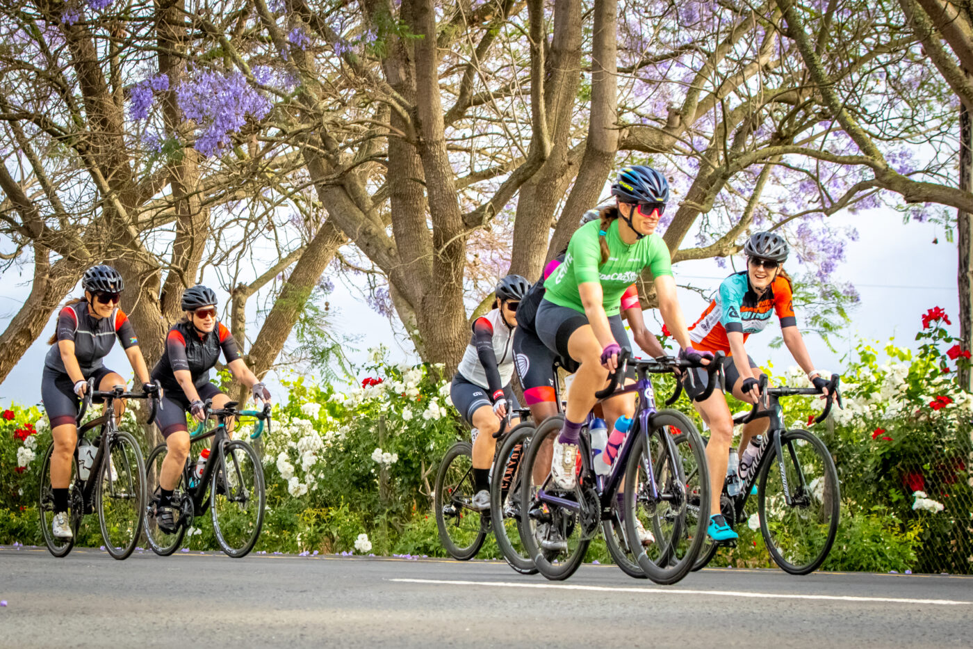 Cape Classic 380: a road must-do | Bike Hub