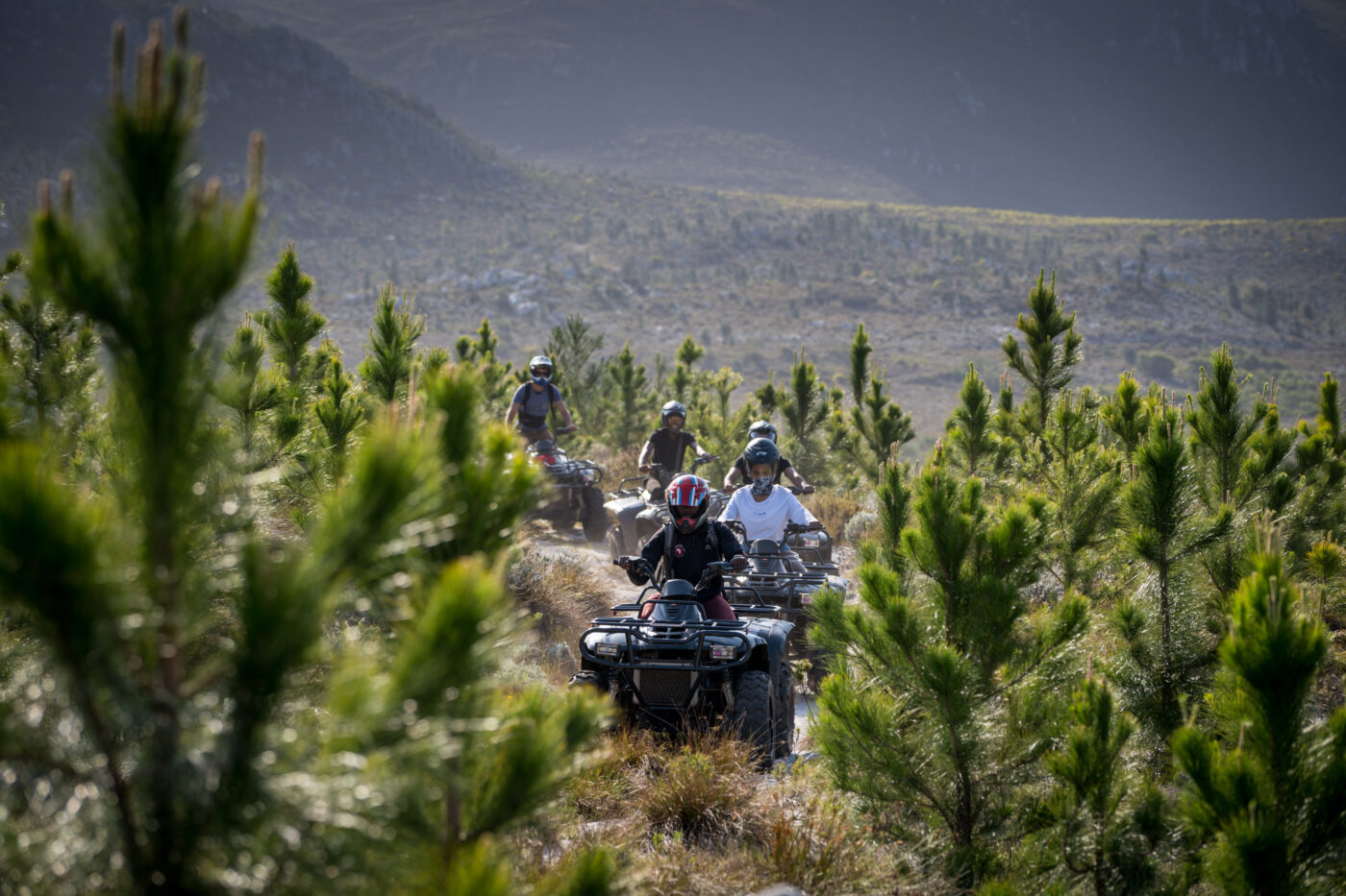 Trail’s End Bike Hotel – Find more than you expected | Bike Hub