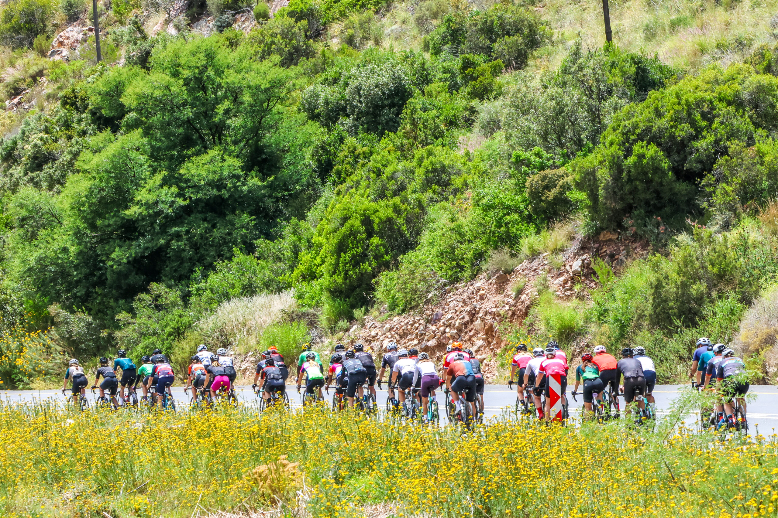 Cape Classic 380: a road must-do | Bike Hub