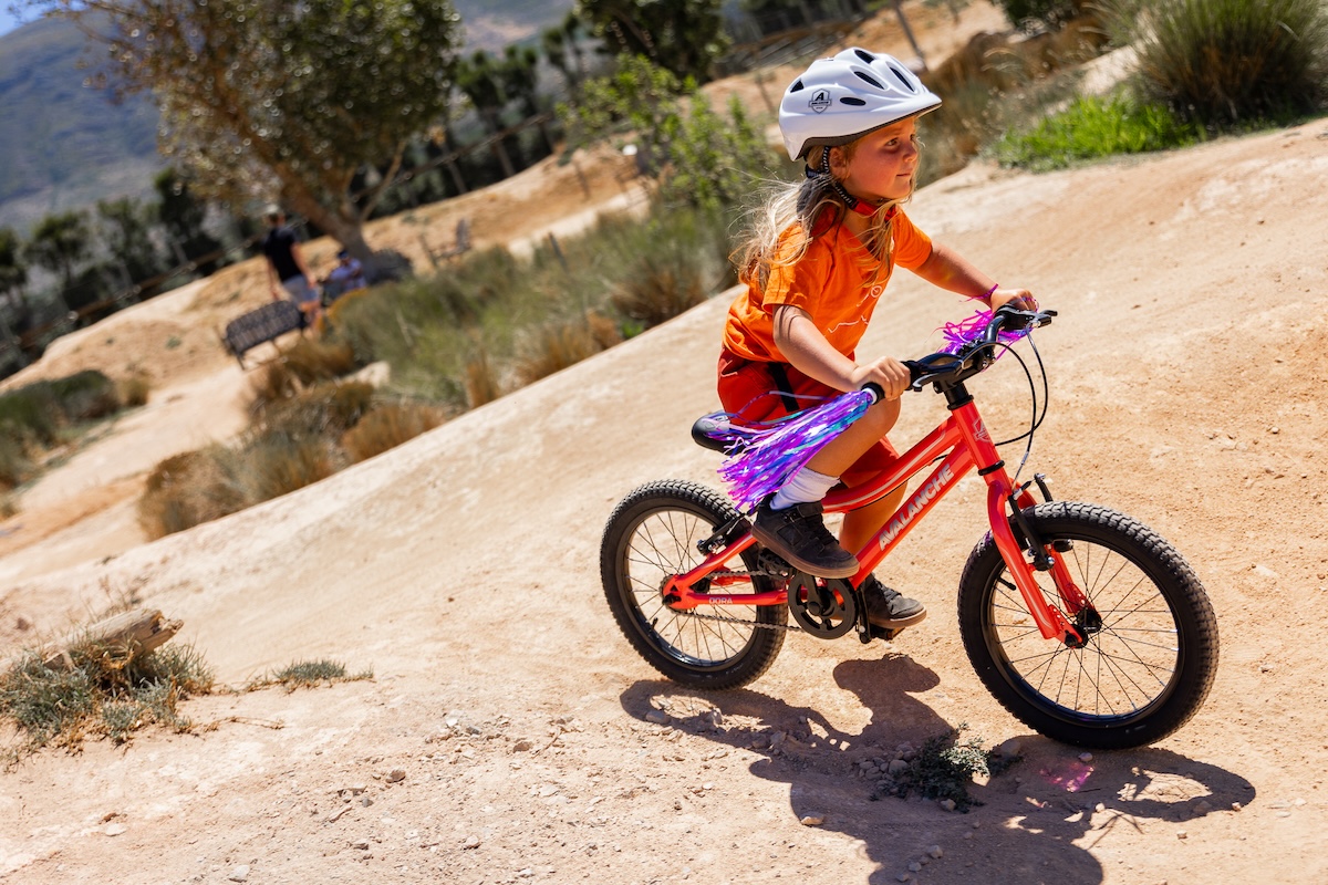 Your adventure starts with Avalanche | Bike Hub