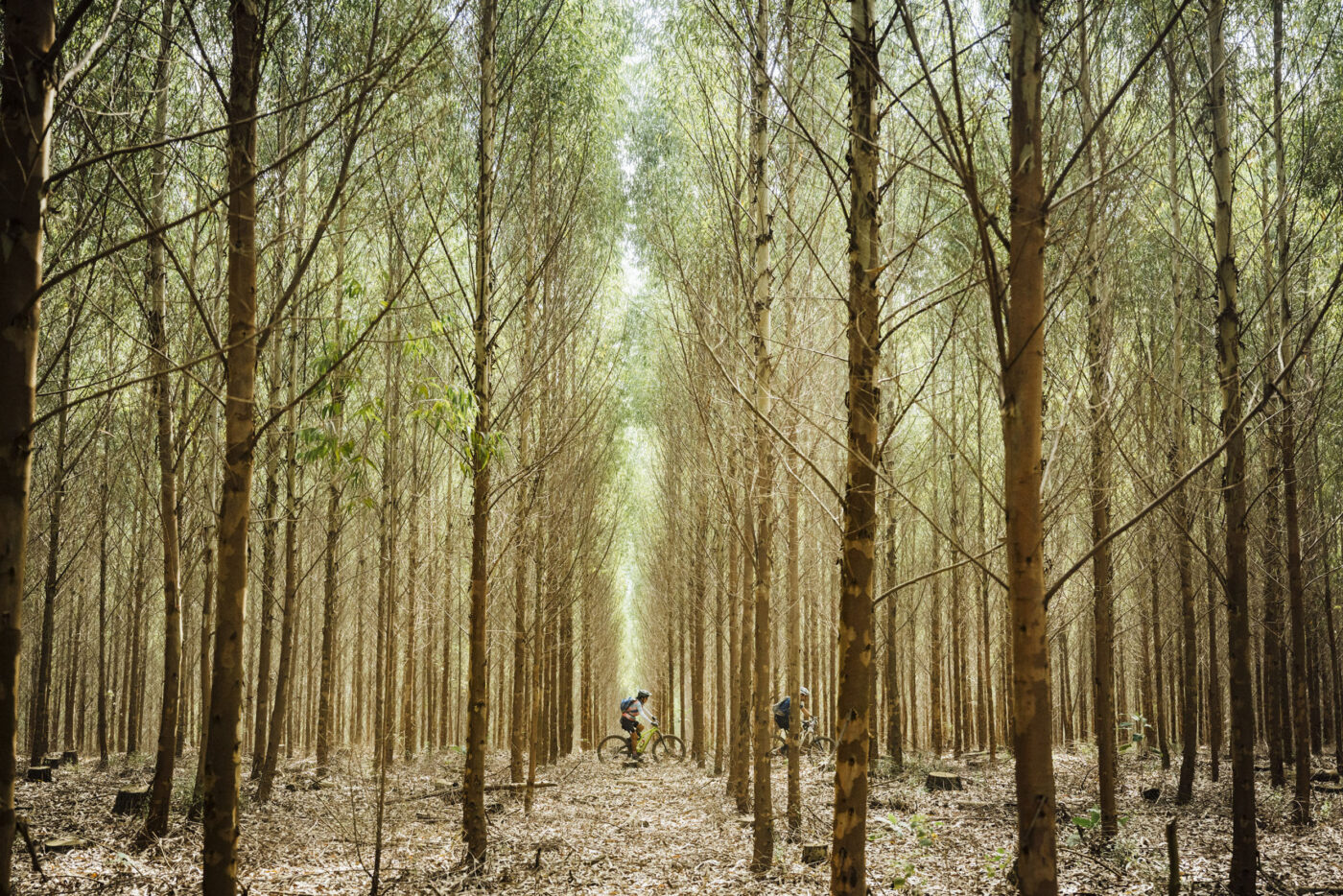 KAP sani2c ‘OG’ - the original gangsta of SA mountain biking | Bike Hub