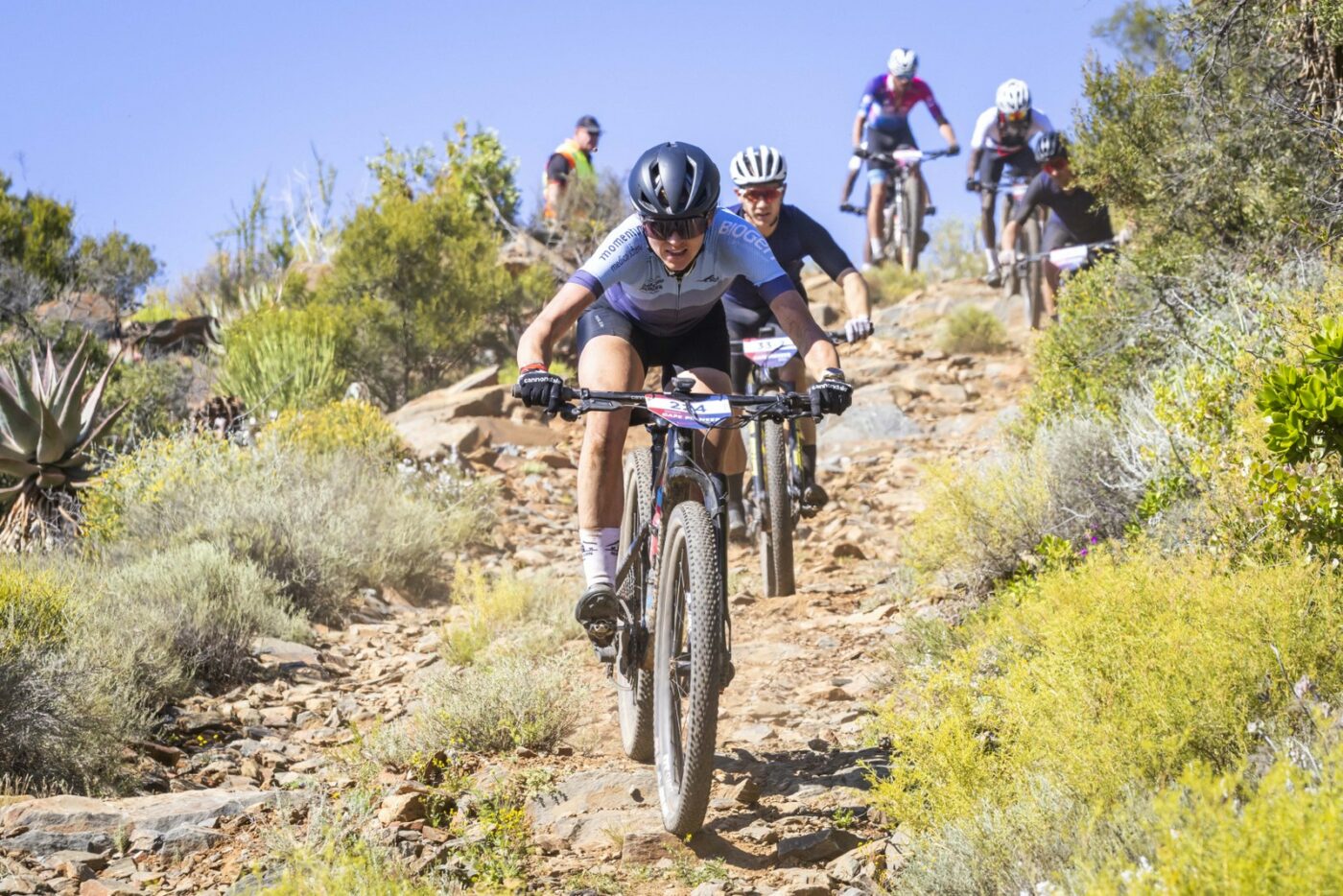 Sprint Win for Insect Science on Stage 3 of the Race with Soul | Bike Hub