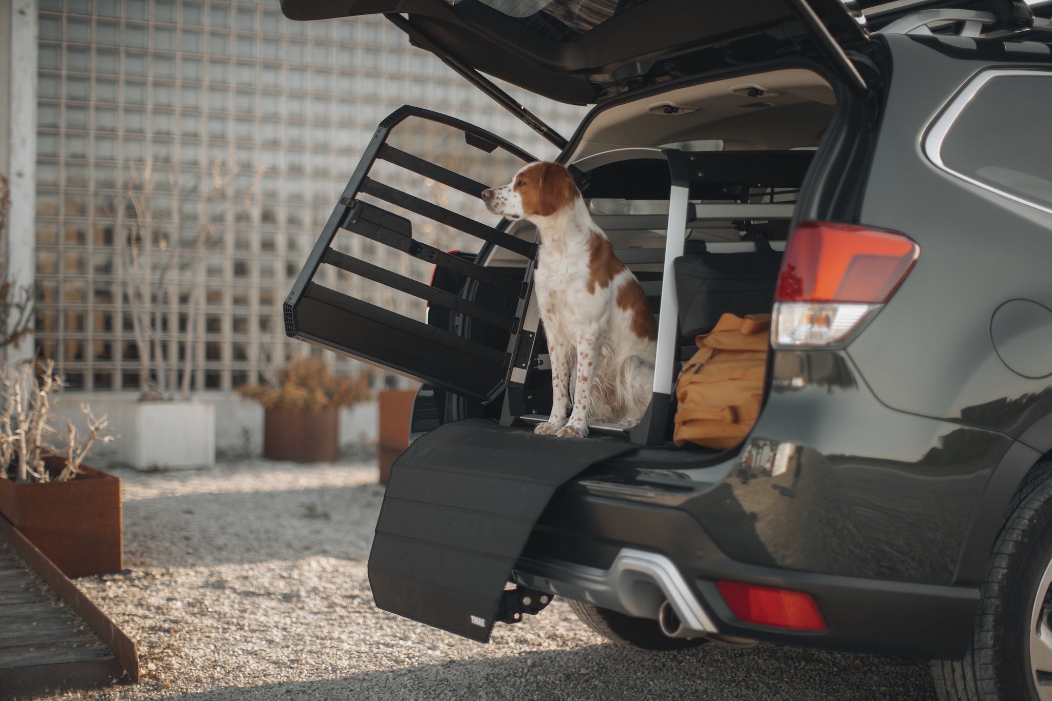 Thule launches three new award-winning products in SA | Bike Hub